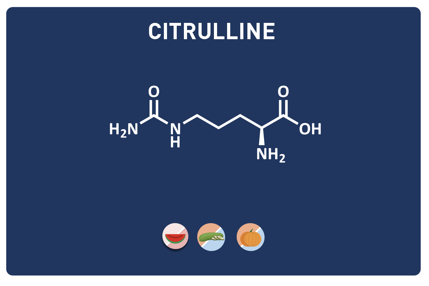 La Citrulline - Blog Eric Favre | Sport Nutrition Expert