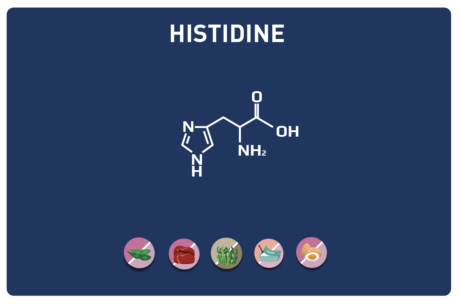 L'Histidine - Blog Eric Favre | Sport Nutrition Expert