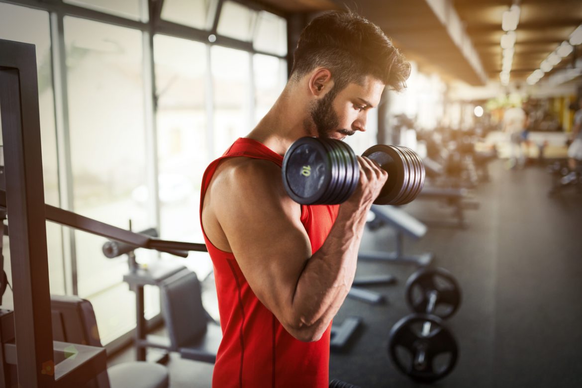Tout Ce qu’il Faut Savoir sur Les Muscles Antagonistes en Supersets ...